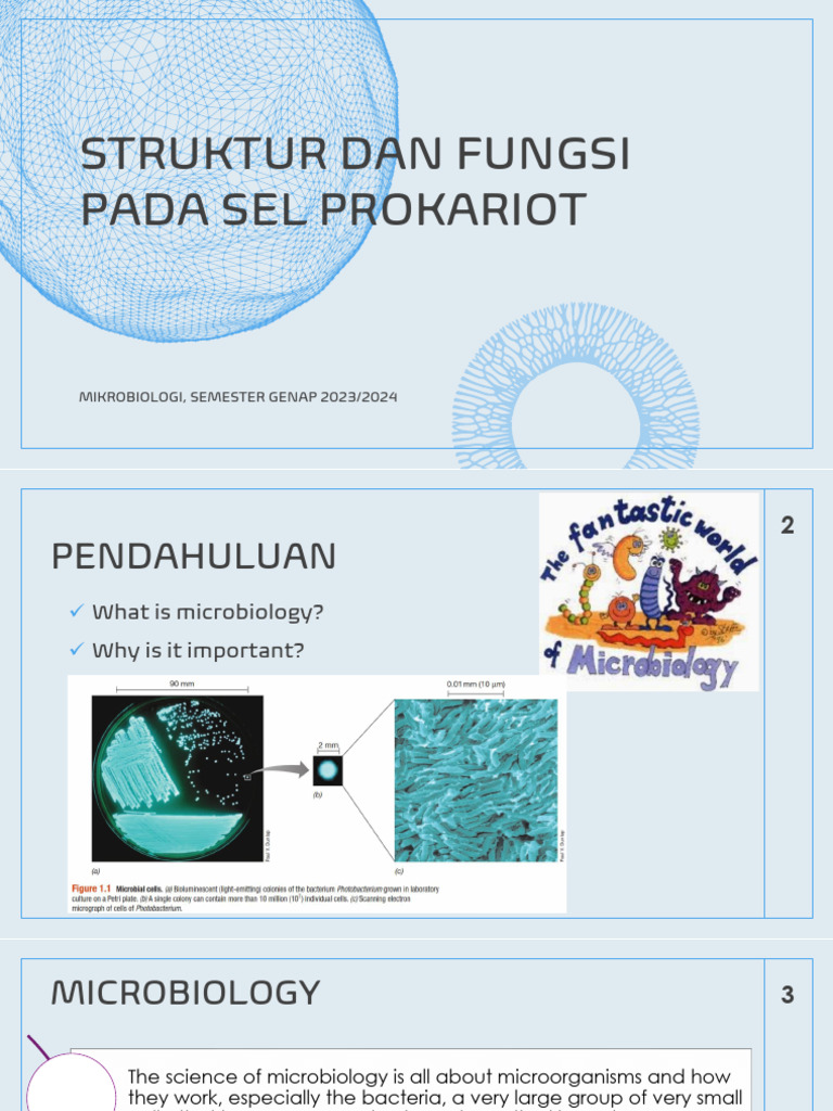 3 4. Struktur Dan Fungsi Pada Sel Prokariot | PDF | Cell Membrane ...