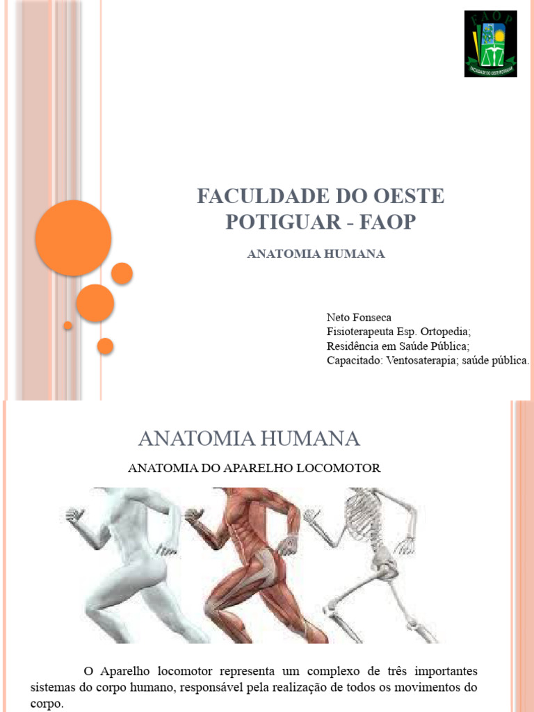 Anatomia Do Aparelho Locomotor | Download grátis PDF | Coluna vertebral | Esqueleto