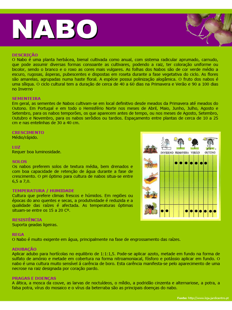 NABO | PDF | Casa e Jardim