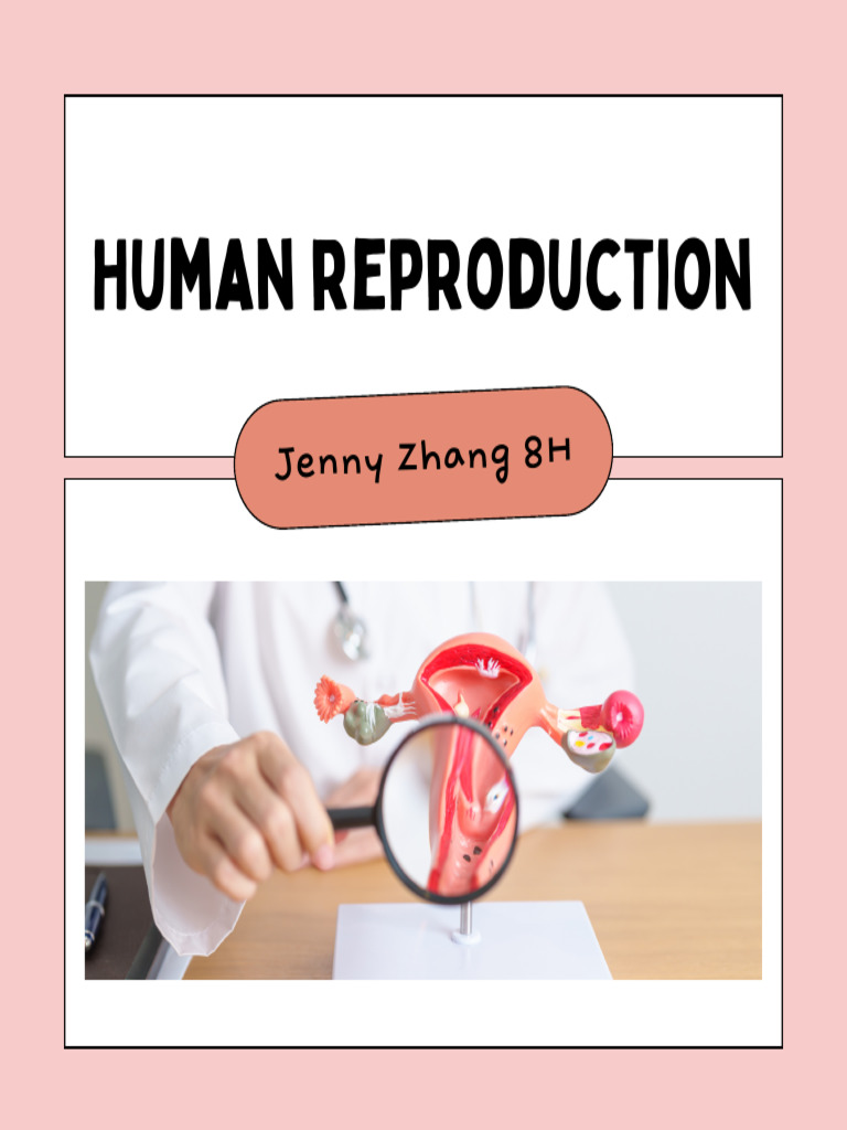 Human Reproduction | PDF | Fertilisation | Human Reproduction