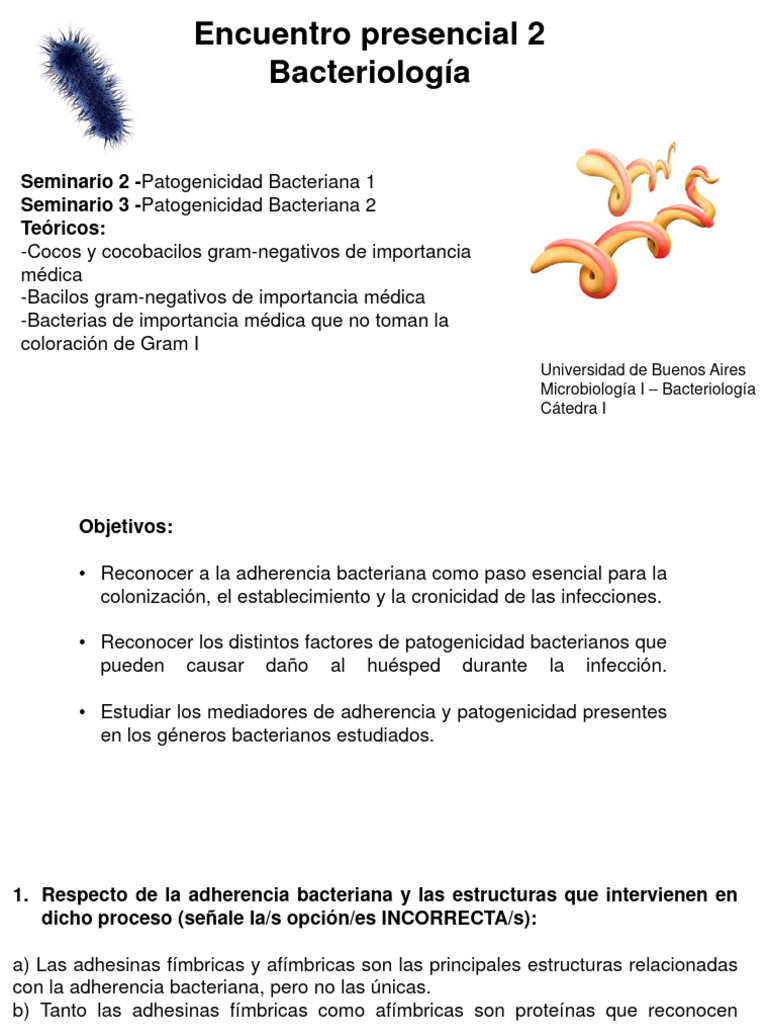 Encuentro Presencial 2 Bacterio | PDF | Escherichia coli | Las bacterias