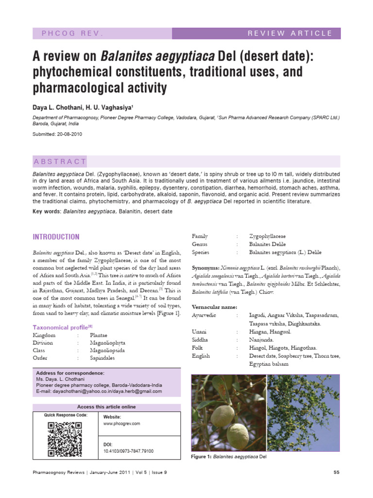 Balanites aegyptiaca: Uses and Benefits | PDF | Antioxidant | Flowers