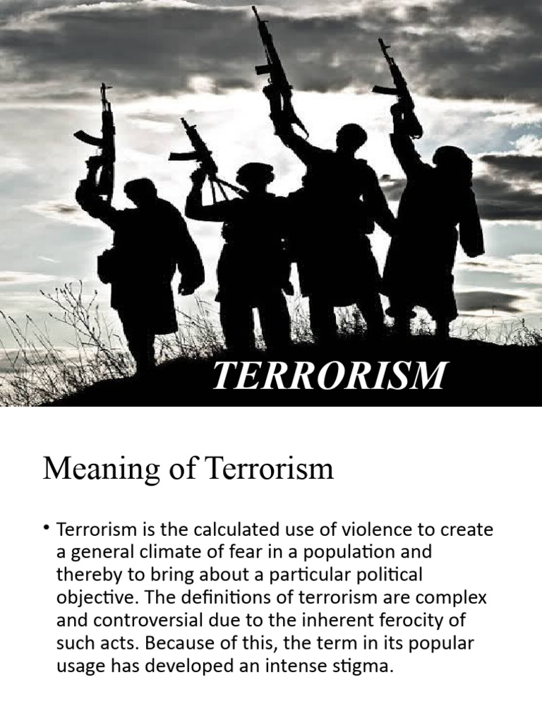 Terrorism Wps Office | PDF | Guerrilla Warfare | Violence