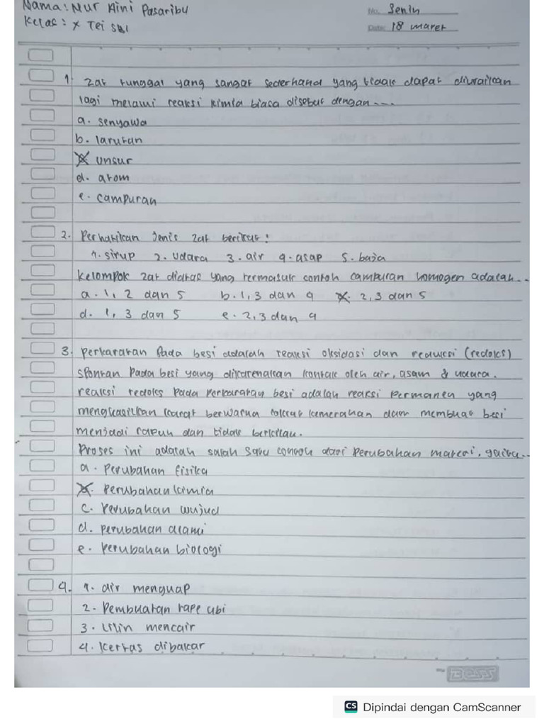 Ipas, Nur Aini X Tei Sbi | PDF