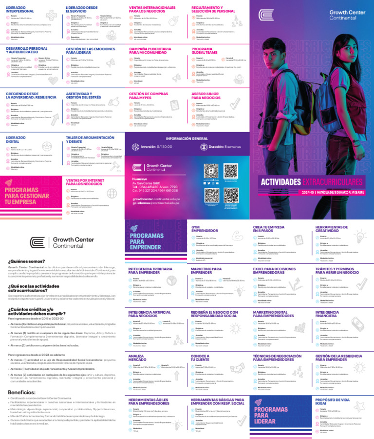 CURSOs | PDF | Iniciativa empresarial | Negocios económicos