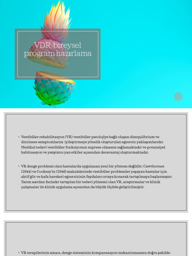 VDR-bireysel program hazırlama | PDF