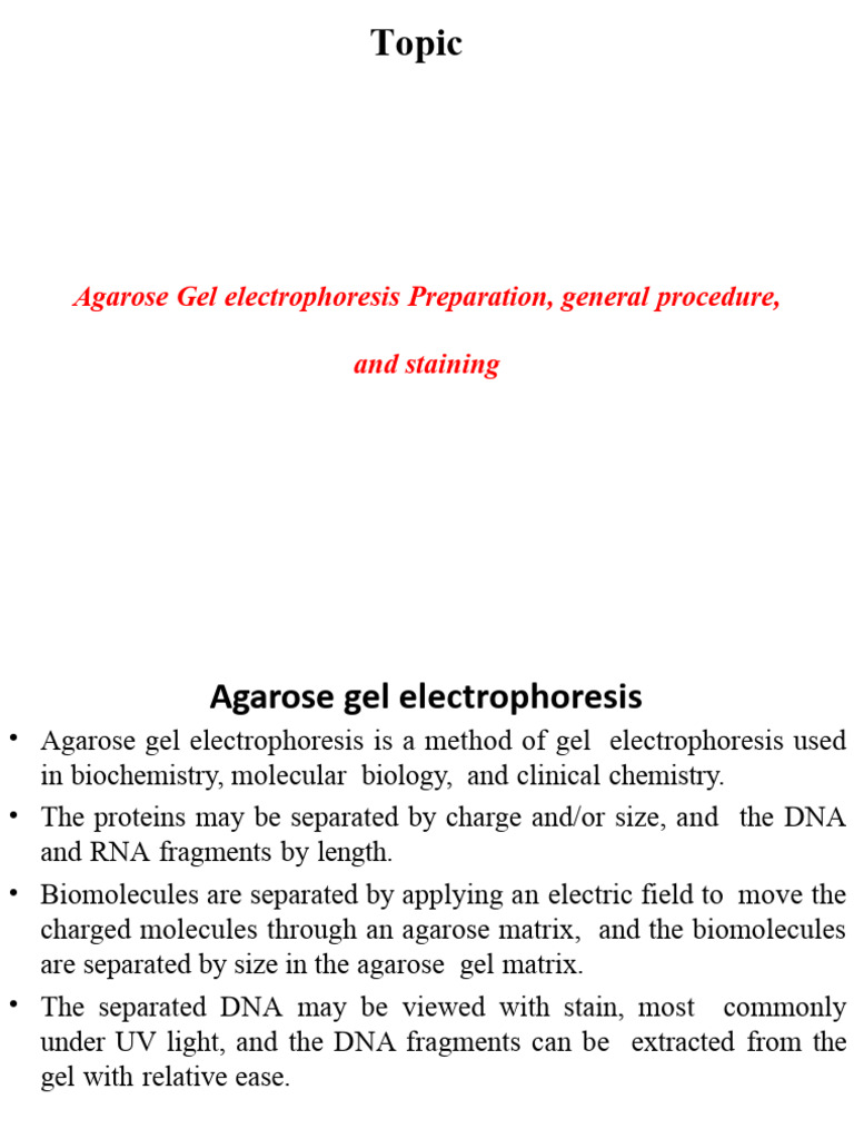 Agarose Gel Electrophoresis Lecture | PDF | Agarose Gel Electrophoresis | Gel Electrophoresis