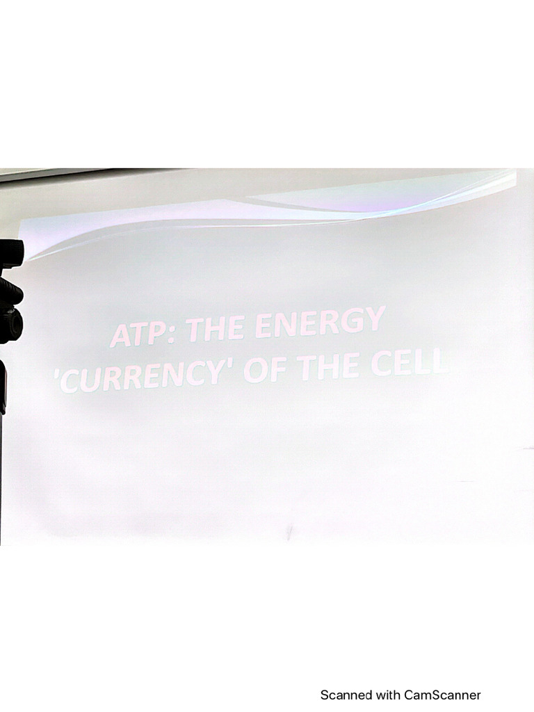 IGCSE Human Biology Chapter-5 Summary Notes | PDF