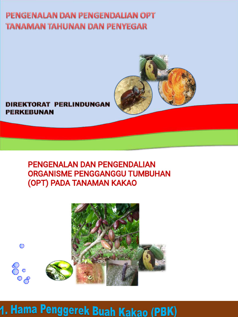 Pengendalian OPT pada Tanaman Kakao | PDF