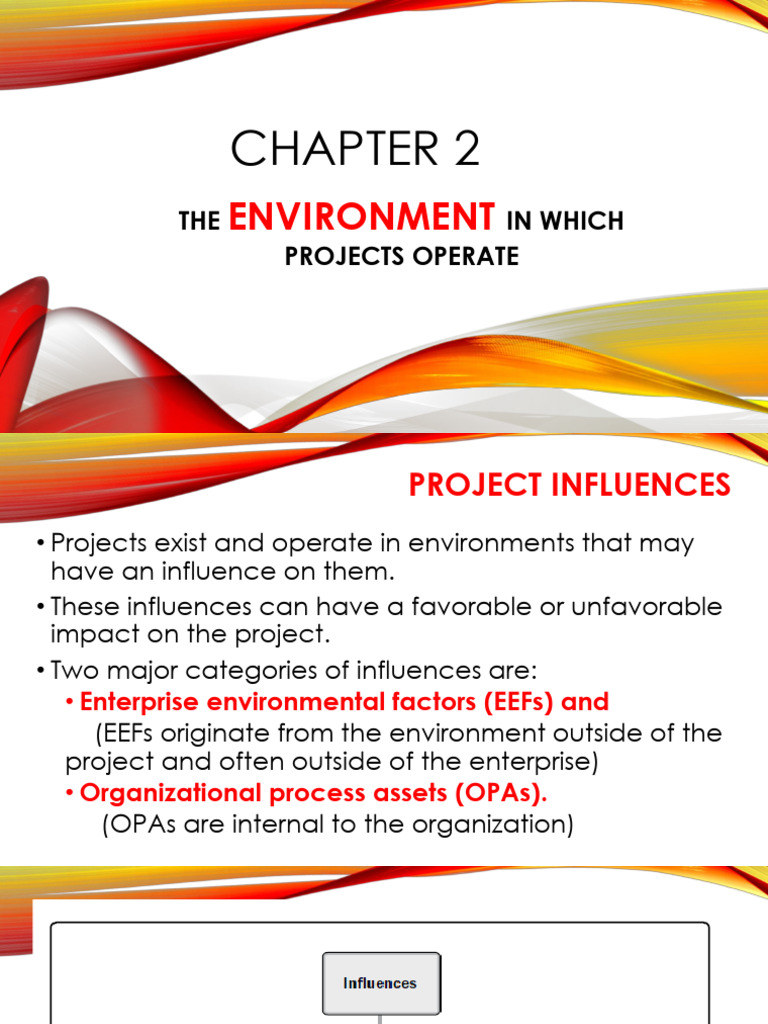 Chapter 2 EEF | PDF | Project Management | Internal Control