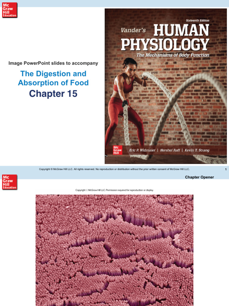 ch15 Image PPT | PDF