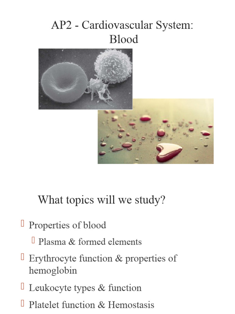 Ap2 Chapter18 Powerpoint Blood SU21 | PDF | Blood Type | Coagulation