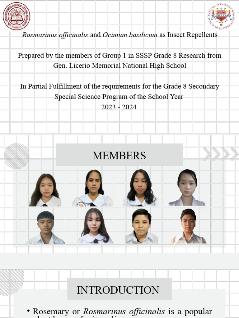 Research Defense | PDF | Basil | Aedes Aegypti