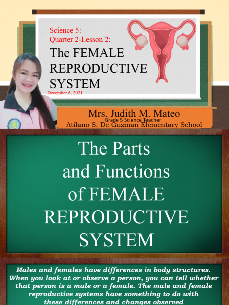 Understanding the Female Reproductive System | PDF | Reproductive ...