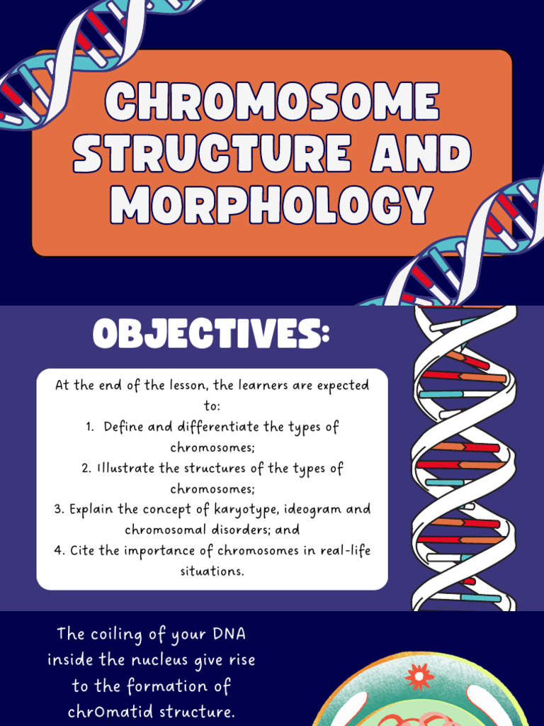 Genetics and Genes Science Presentation in Blue Orange Flat Graphic ...