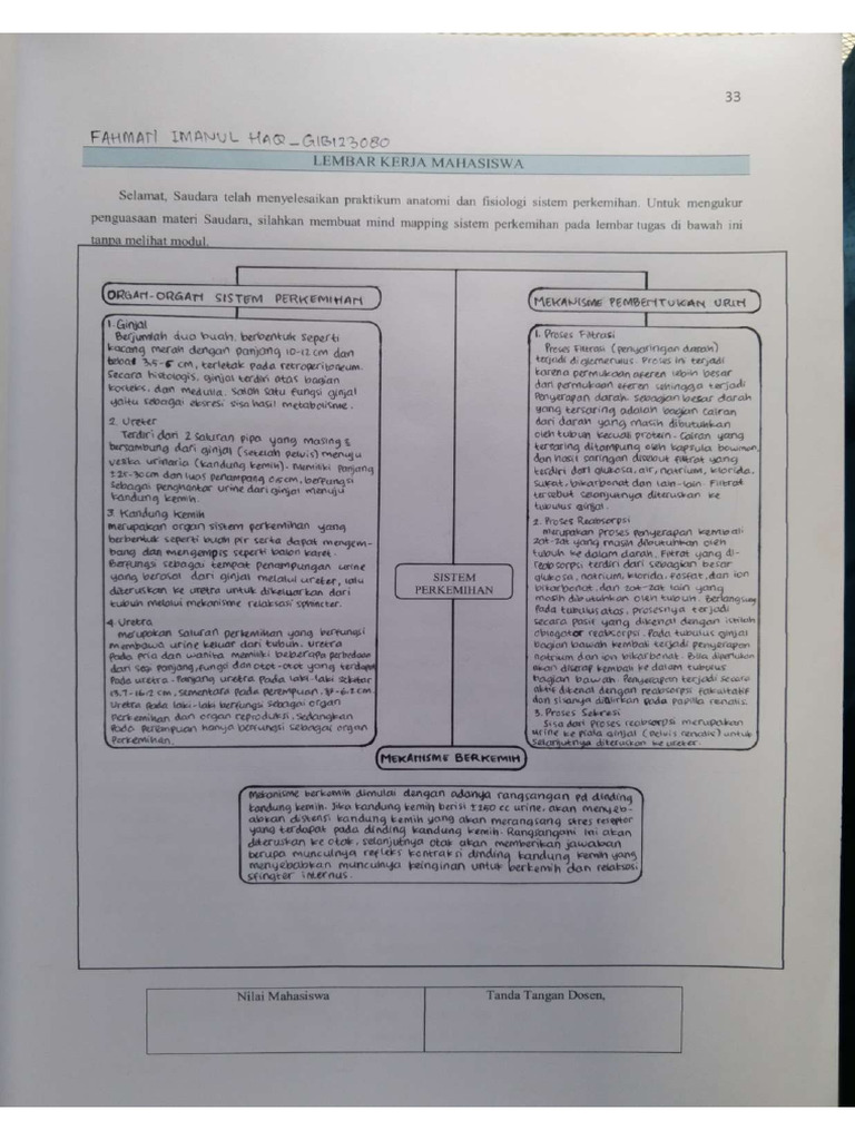 Tugas Individu IBD Mind Mapping | PDF