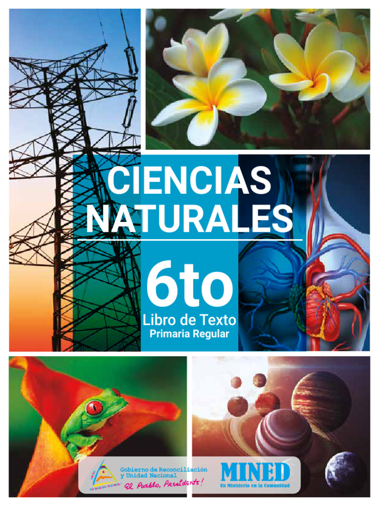 CCNN 6to Grado | Descargar gratis PDF | Sistema nervioso | Sistema nervioso central