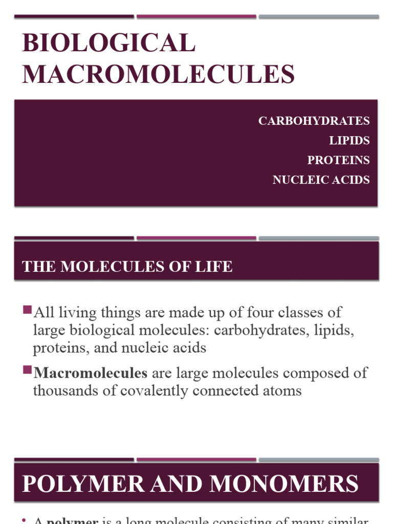 Biological - Macromolecules | PDF | Nucleotides | Polysaccharide