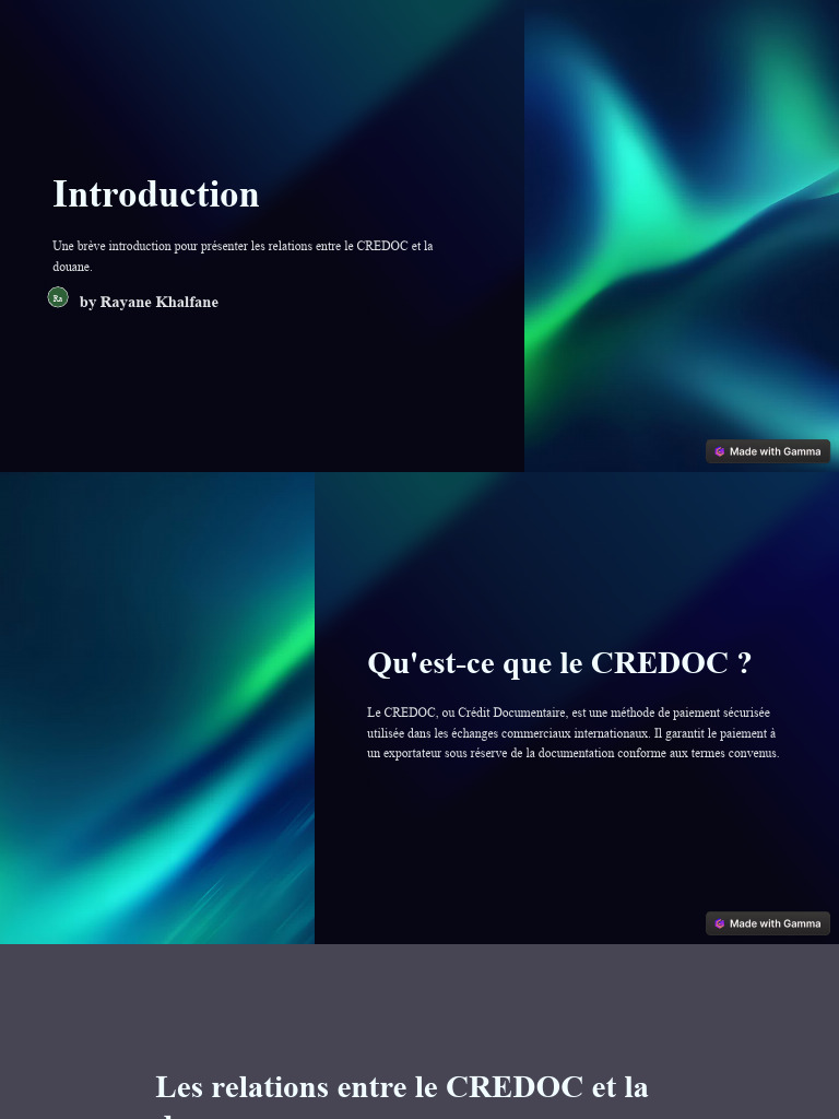 CREDOC et Douane : Collaboration Essentielle | PDF | Lettre de crédit ...