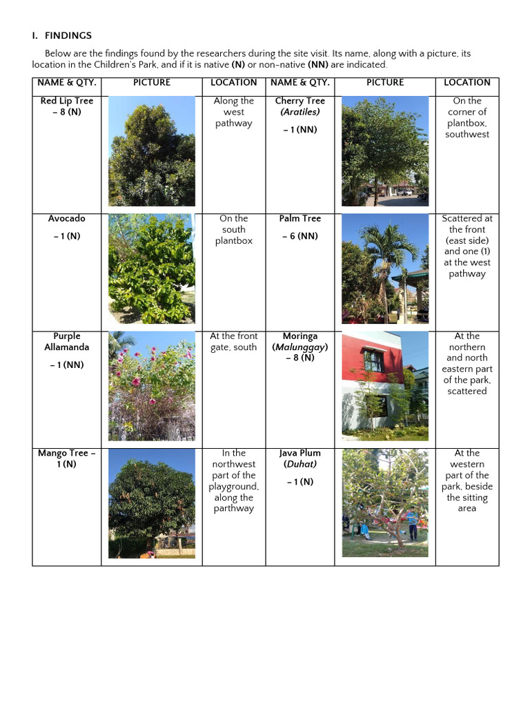 A3 Tree-Inventory | PDF | Trees | Plants