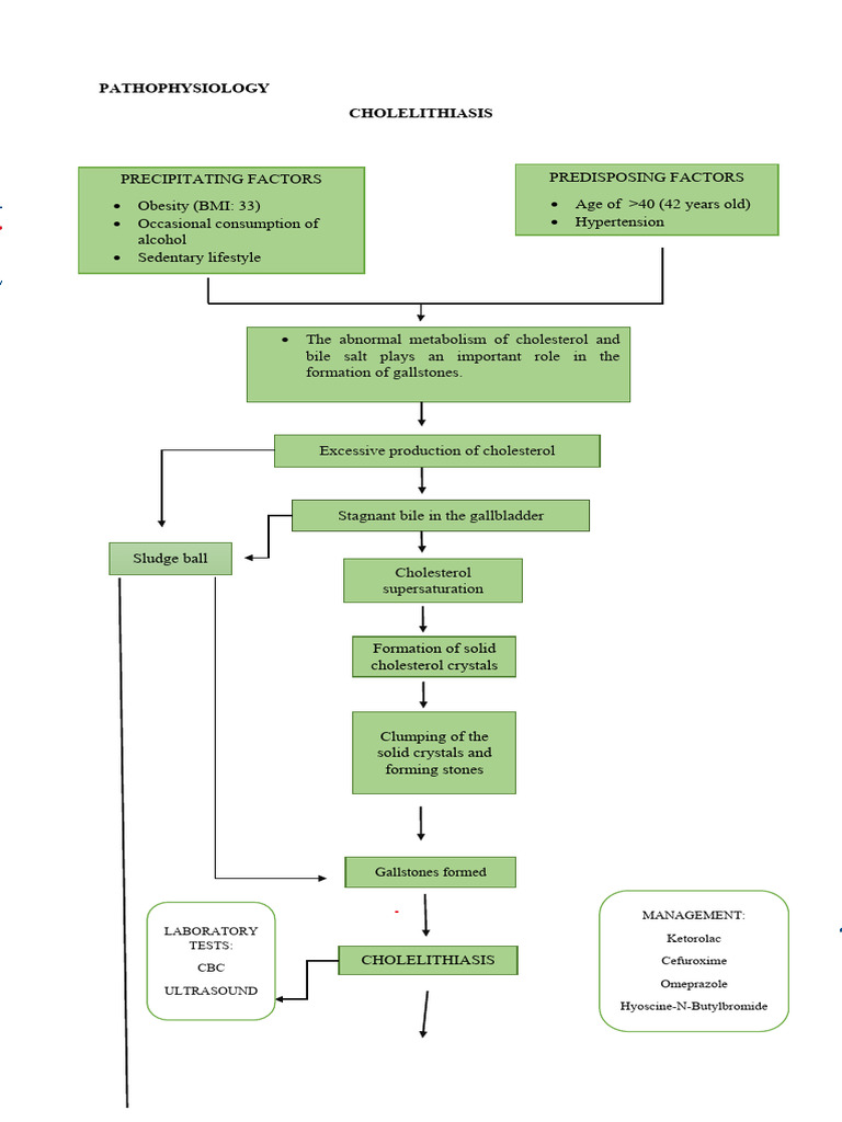 Cholelithiasis Pathophysiology | PDF | Gallbladder | Liver