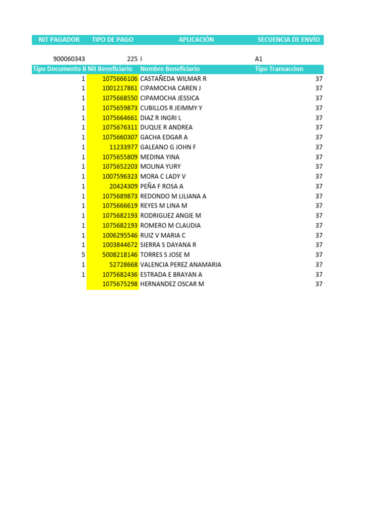 Formato Banco Fichas 12 Enero | PDF | Sector privado | Finanzas personales