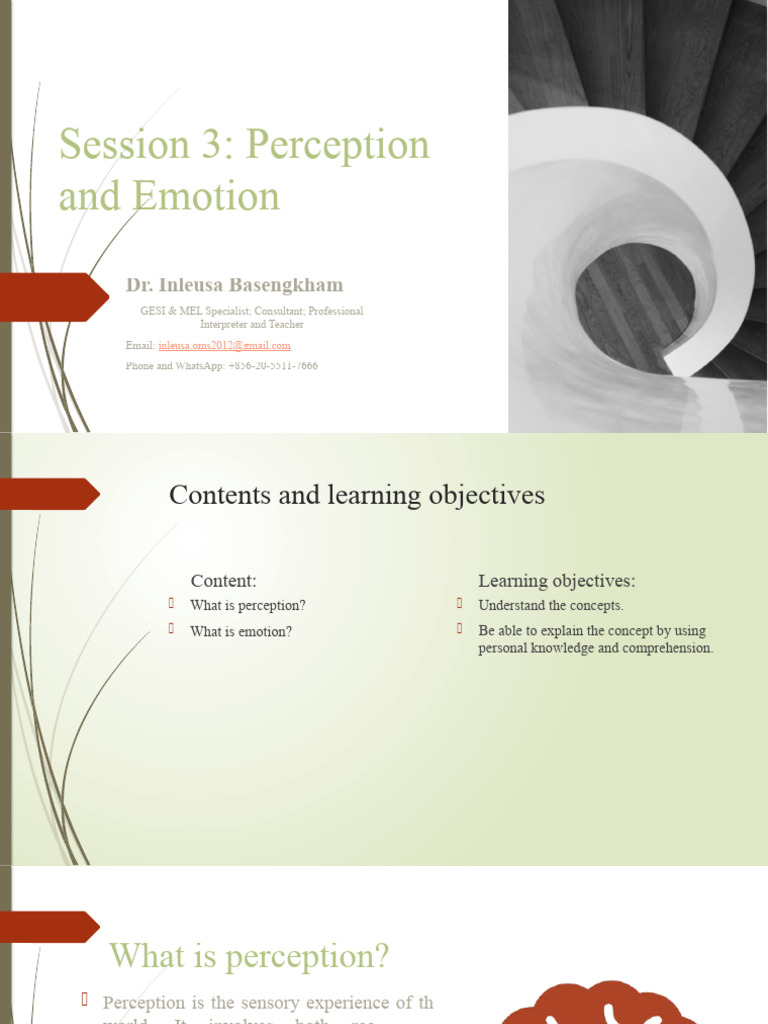 Session 2 - Perception and Emotion | PDF | Perception | Emotions