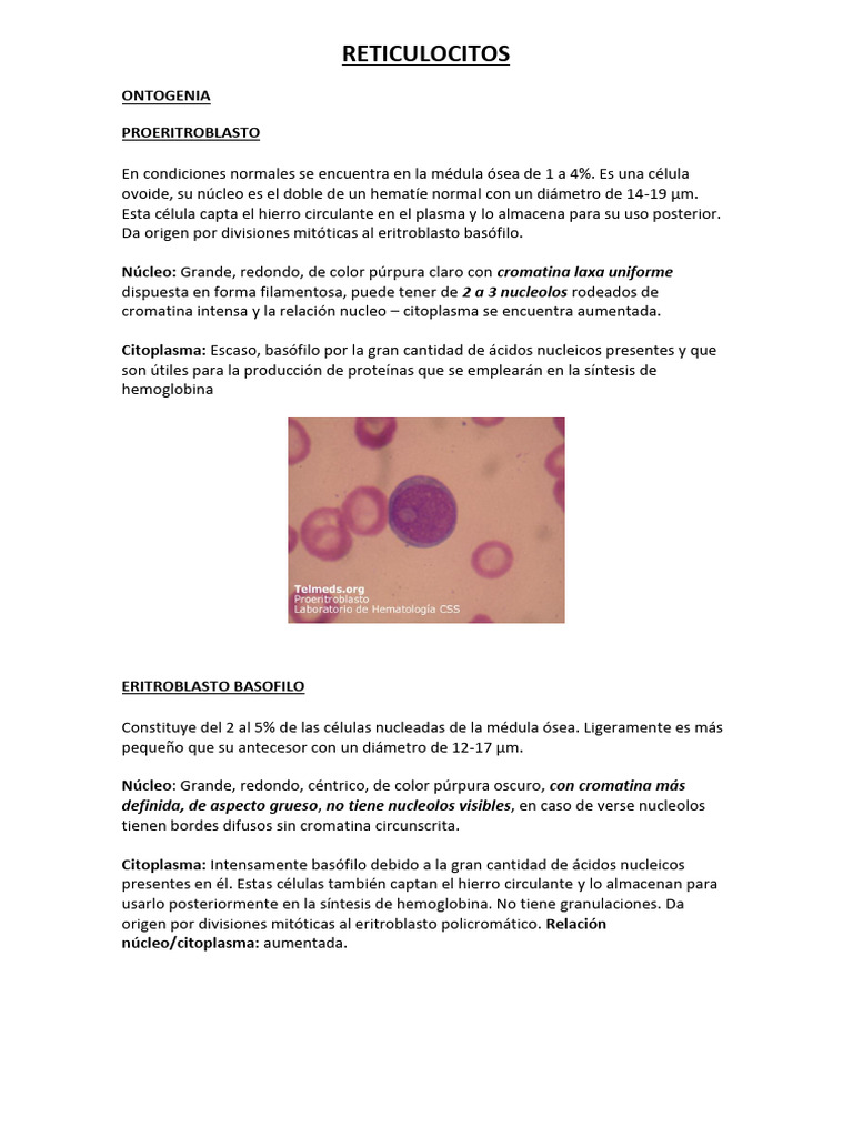 RETICULOCITOS | PDF | Glóbulo rojo | Sangre
