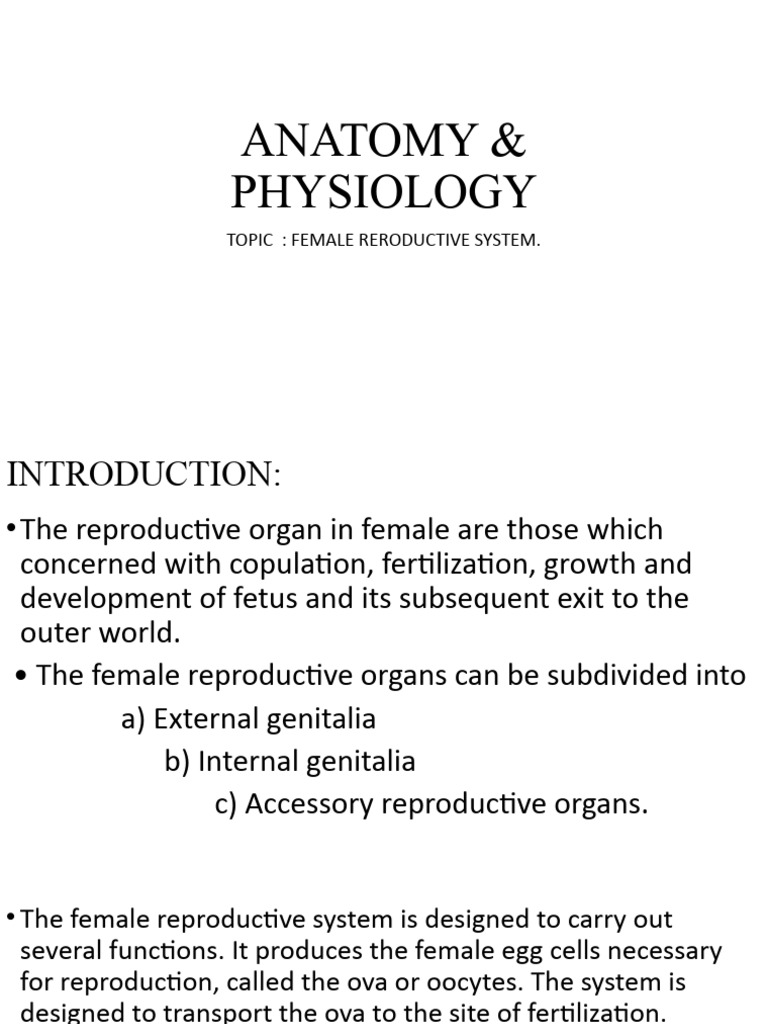 Female Reproductive System Overview | PDF | Menstrual Cycle | Uterus