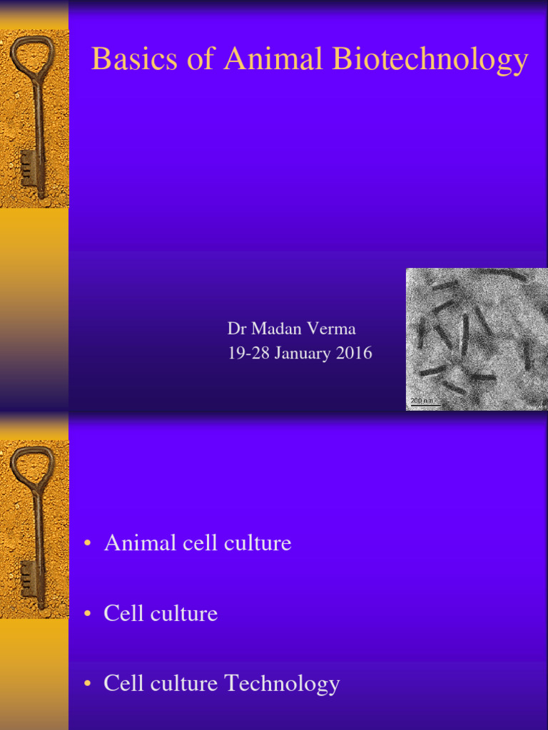 00.animal Biotech (Book) | PDF | Extracellular Matrix | Cell Adhesion