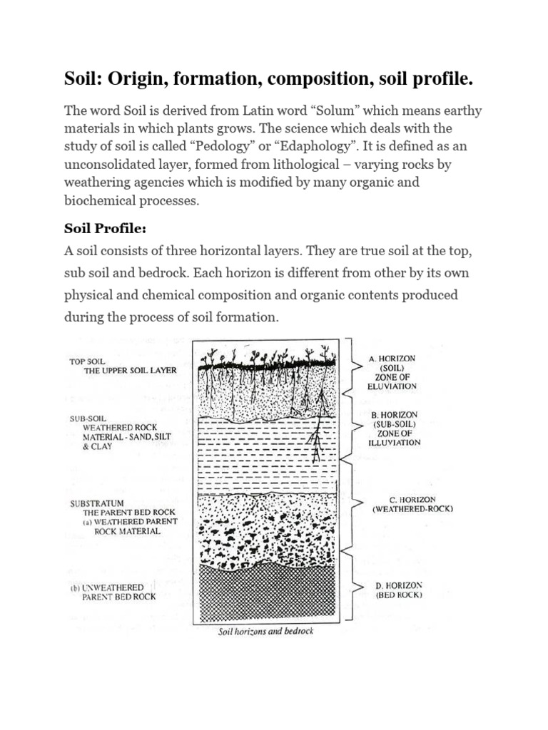 Soil | PDF | Soil | Loam
