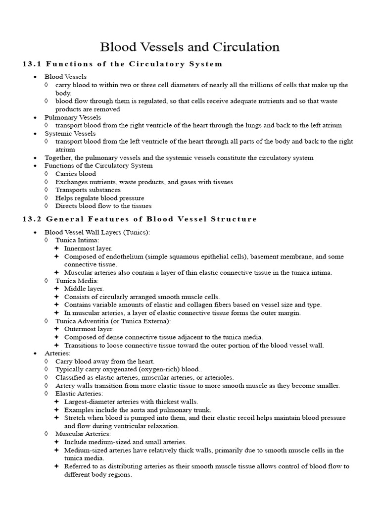 Blood Vessels and Circulation | PDF | Aorta | Vein