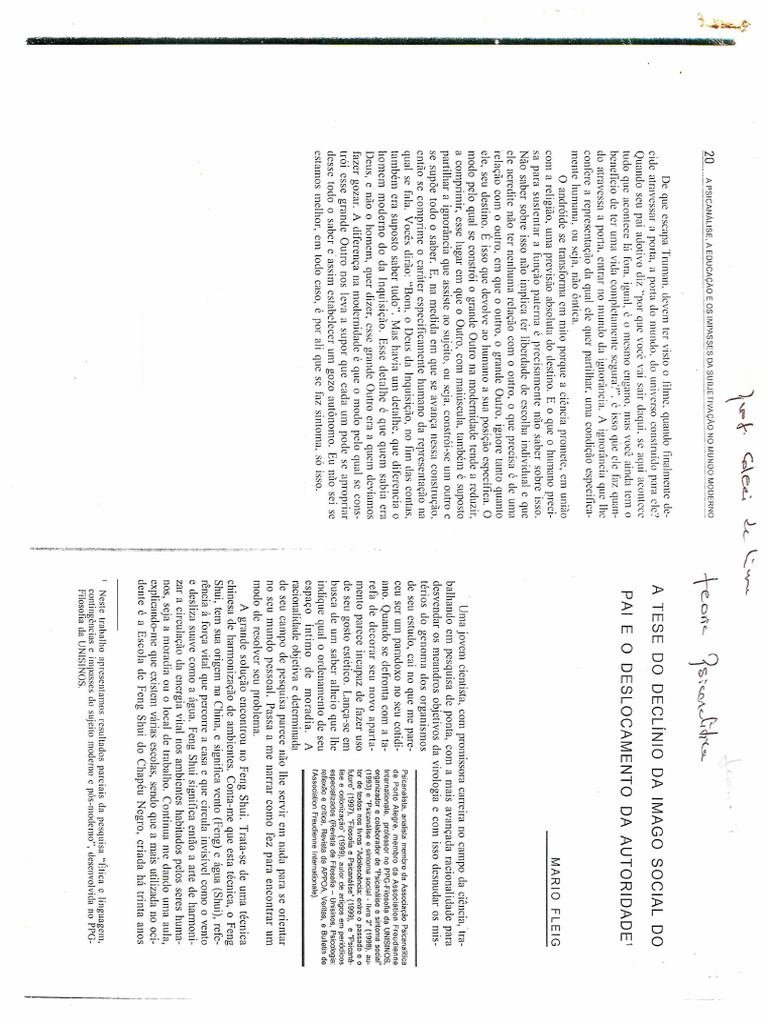 Mario Fleig Declínio Da Imago Social Do Pai Fleig | PDF