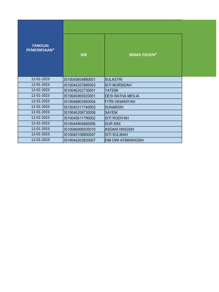 FORM Iva Sadanis 12 Jan 2023 | PDF