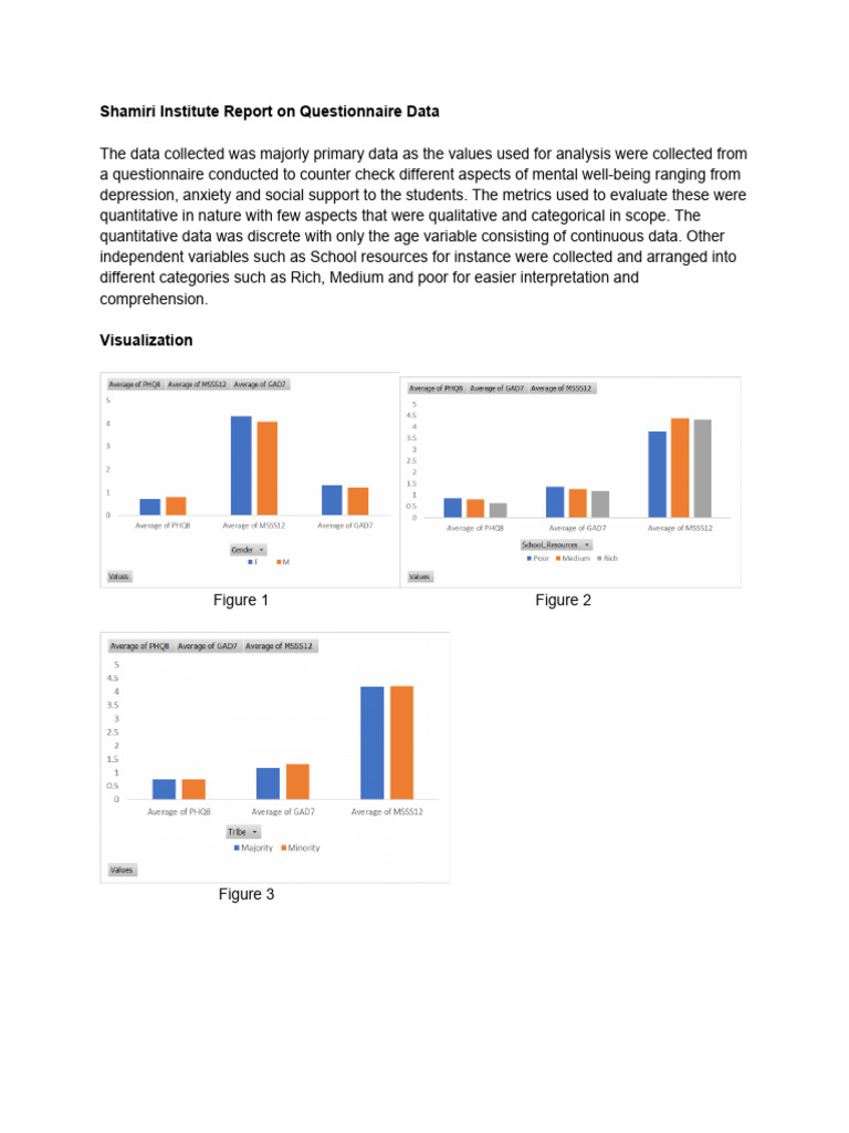 Shamiri Institute Report On Questionnaire Data | PDF | Social Support ...