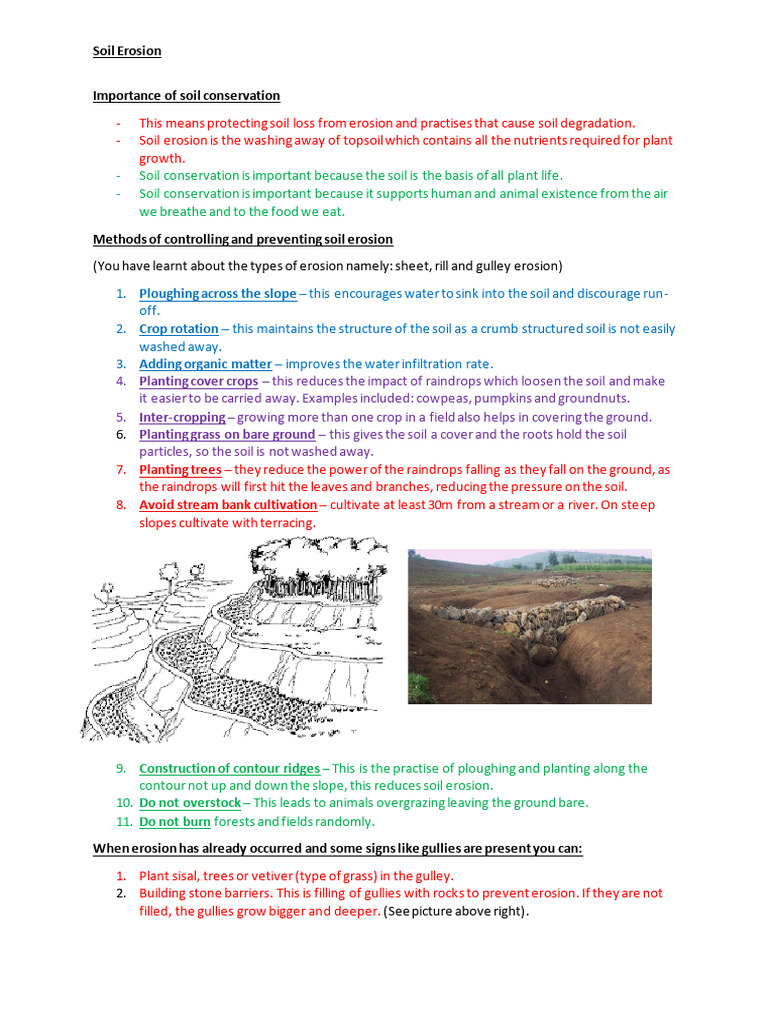 Lesson 9 Soil Erosion | PDF | Soil | Erosion