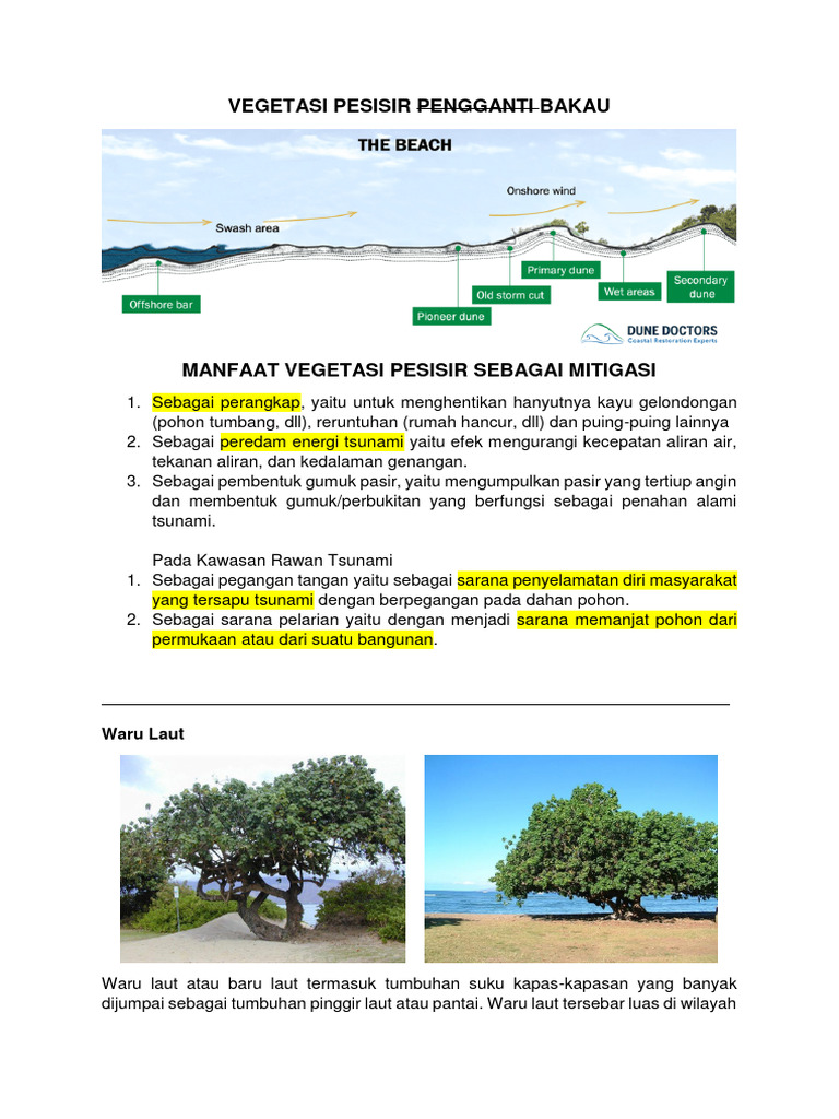 Vegetasi Pesisir | PDF
