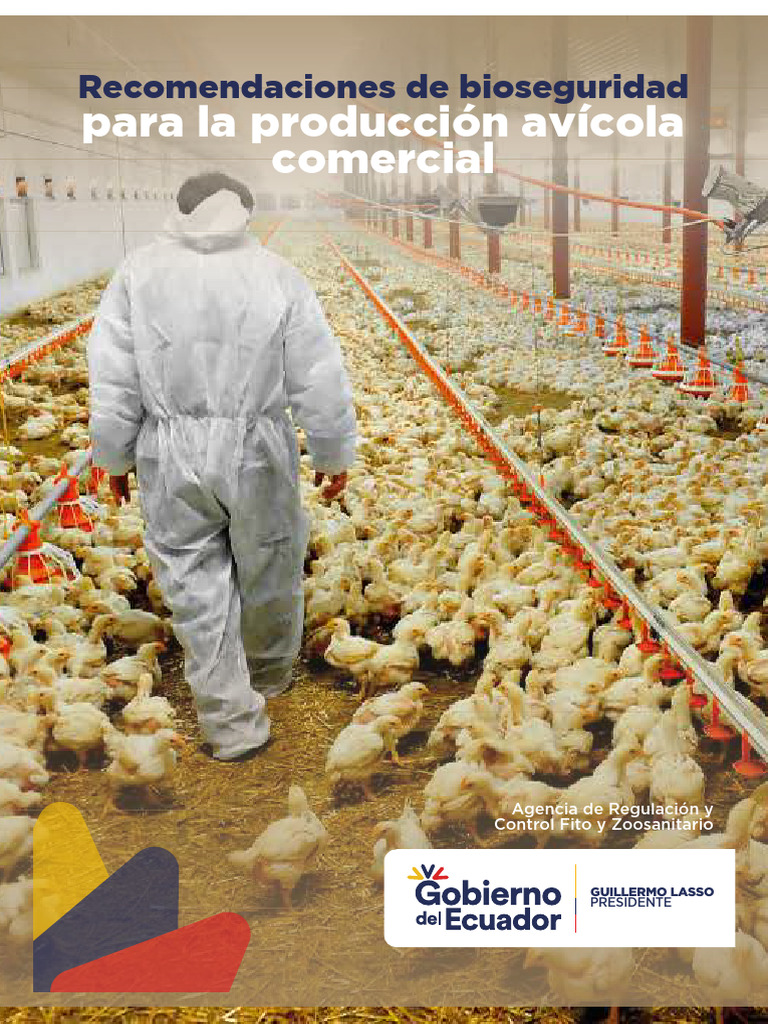 Recomendaciones de Bioseguridad Avícola | PDF | Agua | Aves