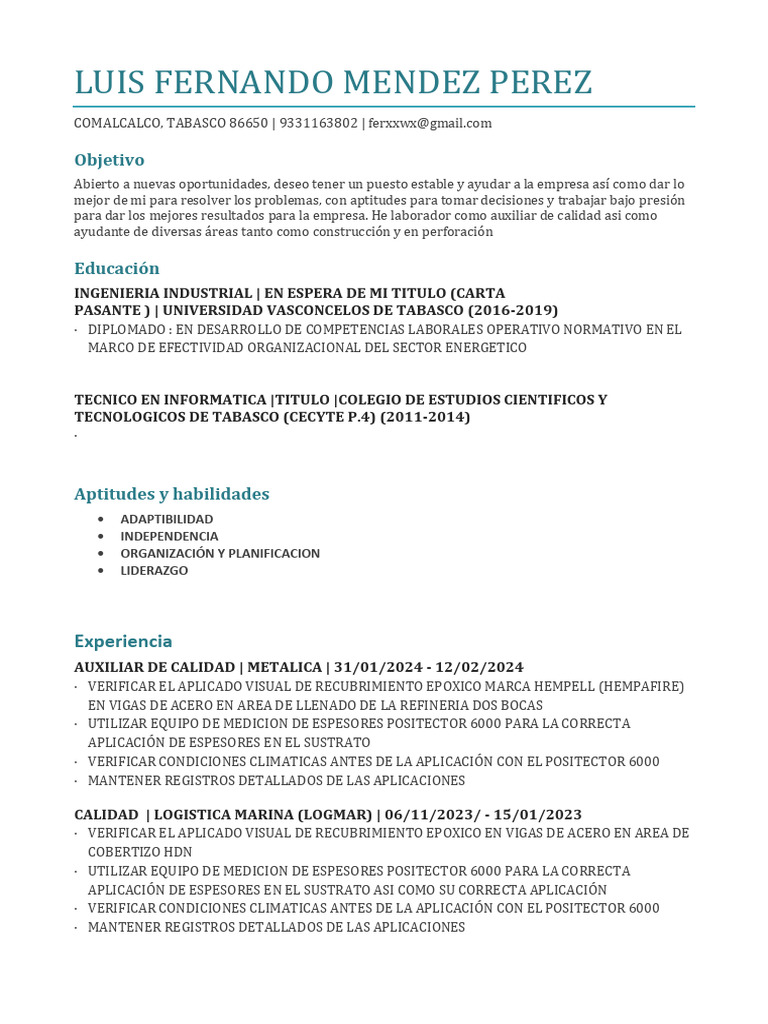 CV Fernando Mendez | PDF | Business | Ingeniería
