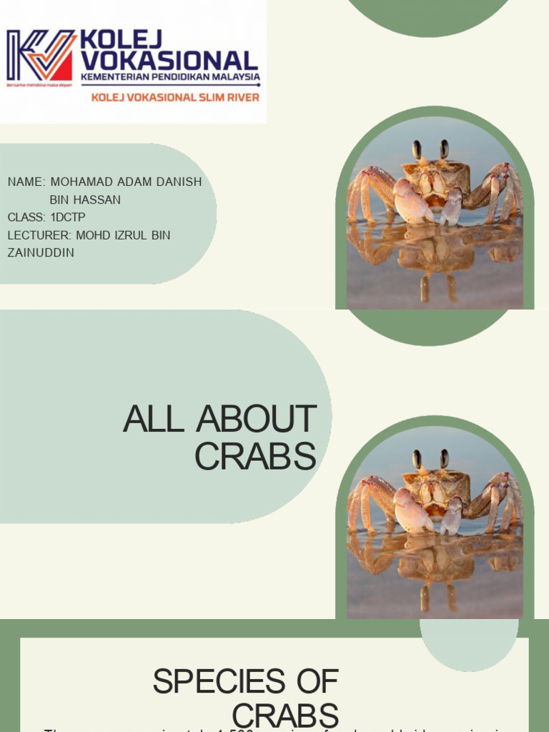 Overview of Crab Species and Features | PDF | Crab | Shrimp