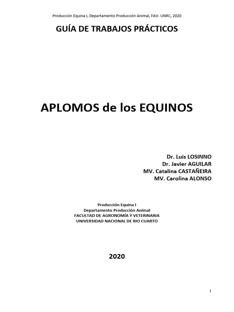Aplomos Correctos en Equinos | PDF | Rodilla | Caballos