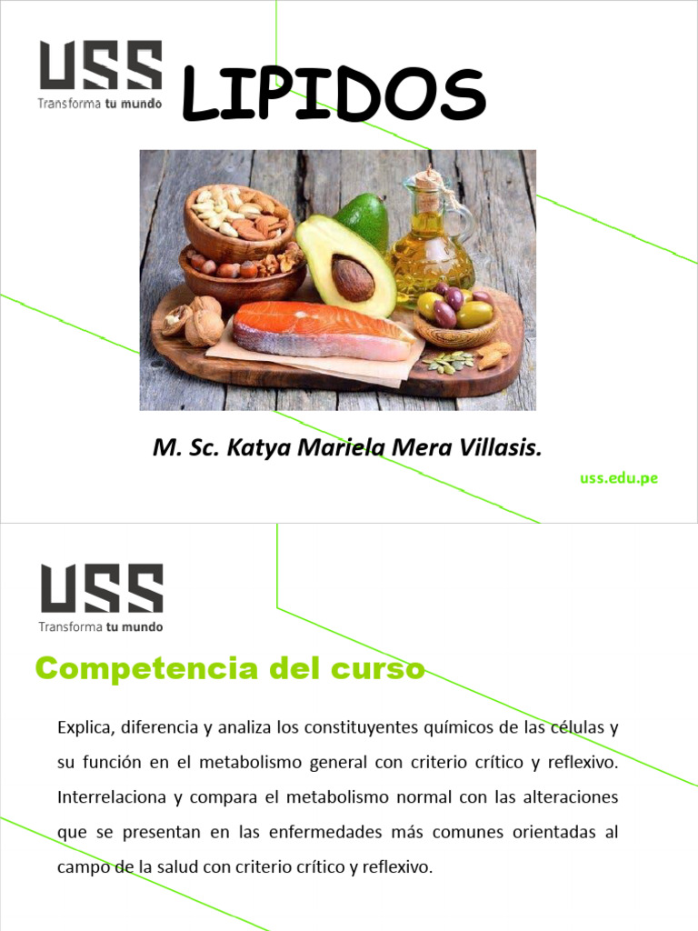 Lípidos: Estructura y Función | PDF | Lípido | Ácido graso