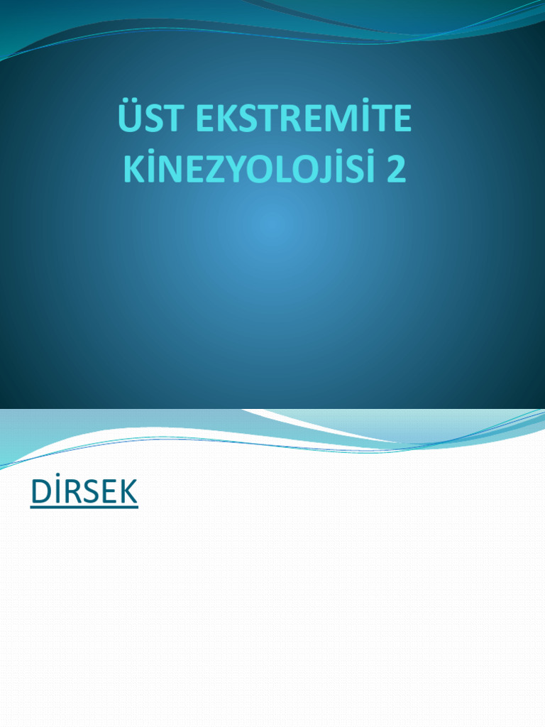 Üe Ki̇nezyoloji̇si̇ 2 | PDF