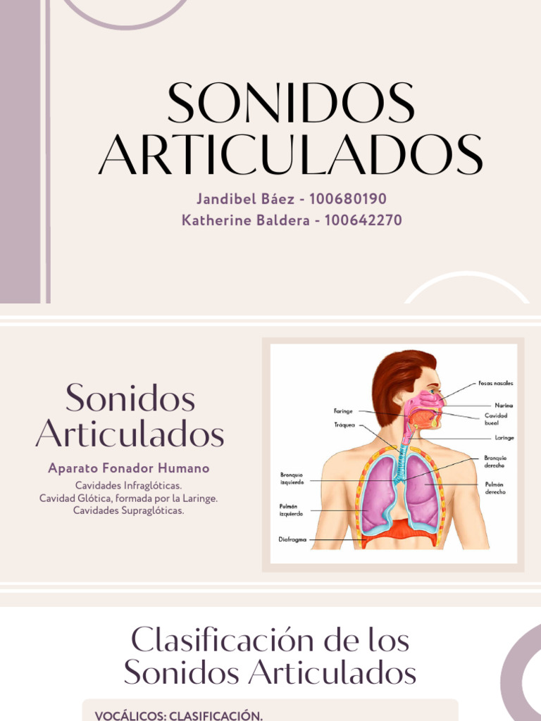 Sonidos Articulados | PDF | Lingüística | Fonética