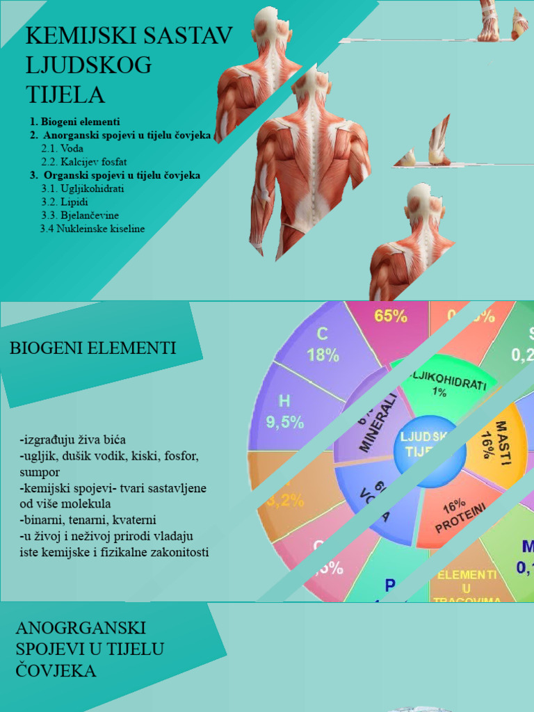 Biologija | PDF
