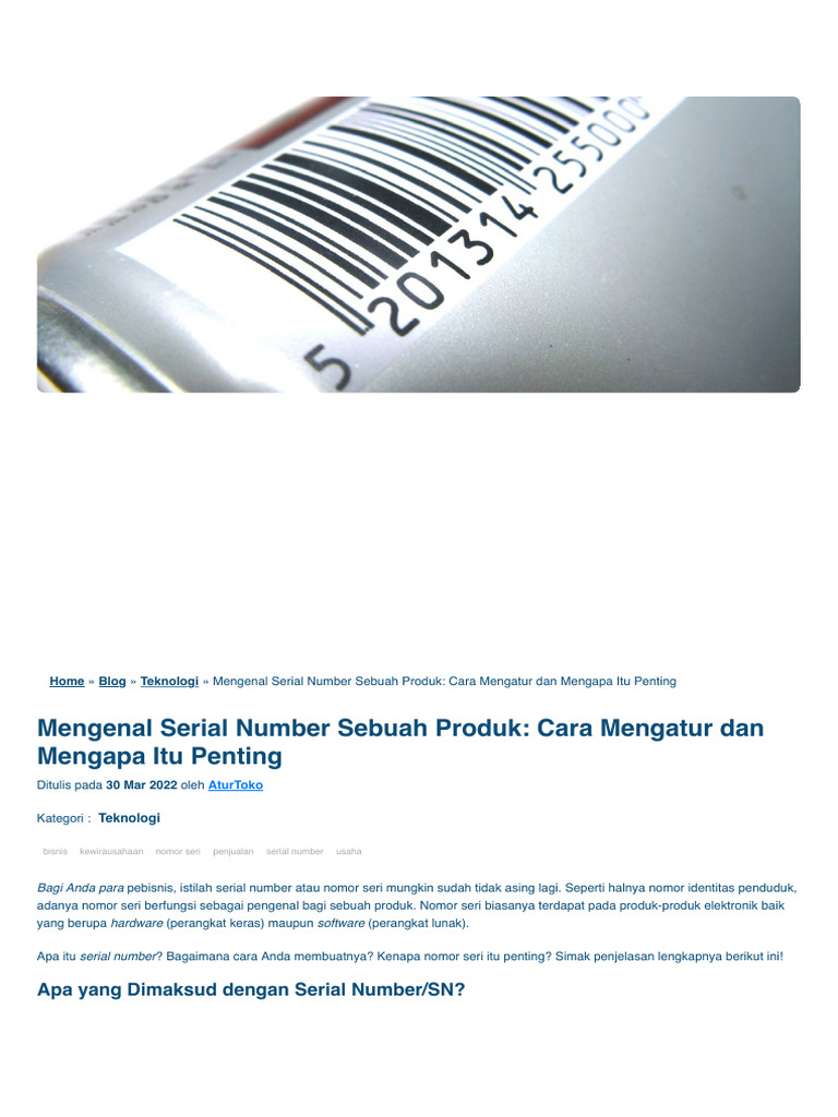 Fungsi Serial Number | PDF