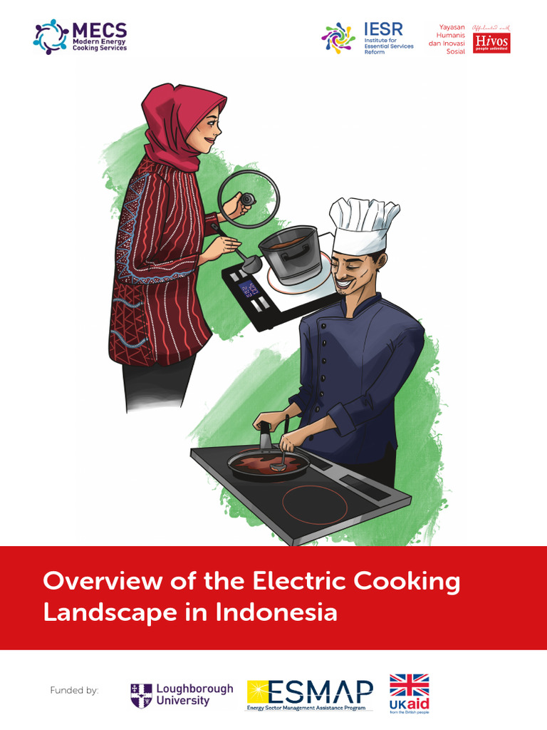 Electric Cooking Landscape Indonesia 1 | PDF | Liquefied Petroleum Gas ...