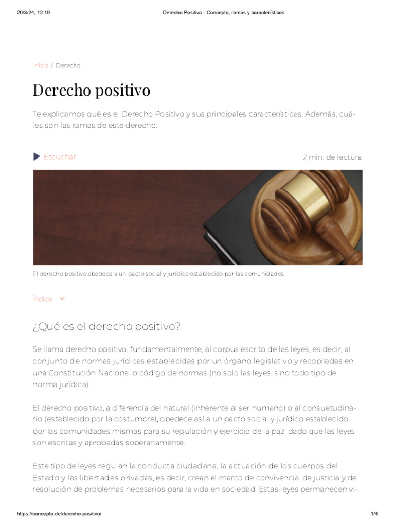 Derecho Positivo - Concepto, Ramas y Características | PDF | Estatuto ... Derecho Positivo - Concepto, Ramas y Características | PDF | Estatuto ...
