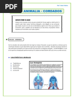 Anatomía y Función de las Branquias en Peces | PDF | Branquia | Pescado