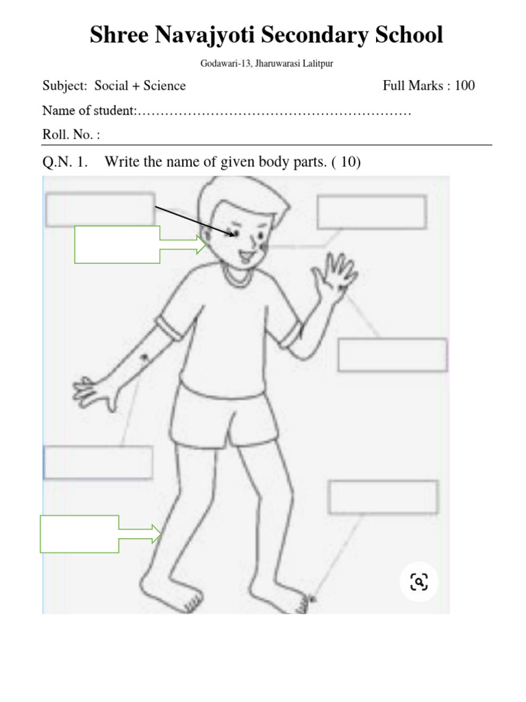 LKG Science and Social Question | PDF